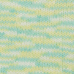 Encore Worsted Colorspun - Item 612 | Plymouth Yarn